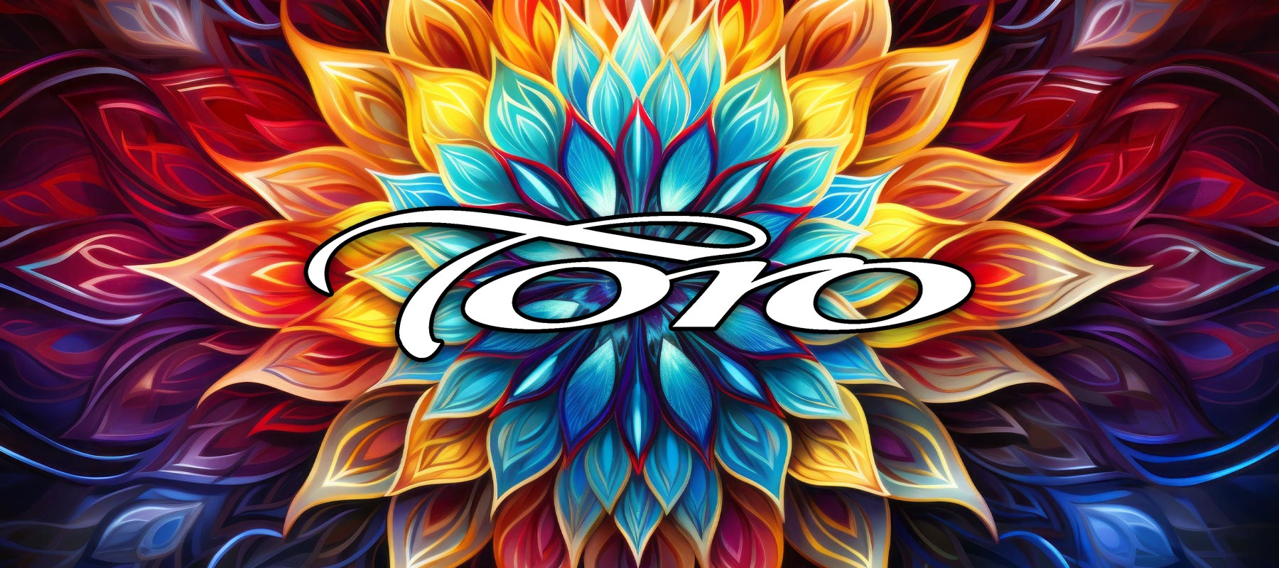 Toro Glass Gallery — T.G.G. LLC